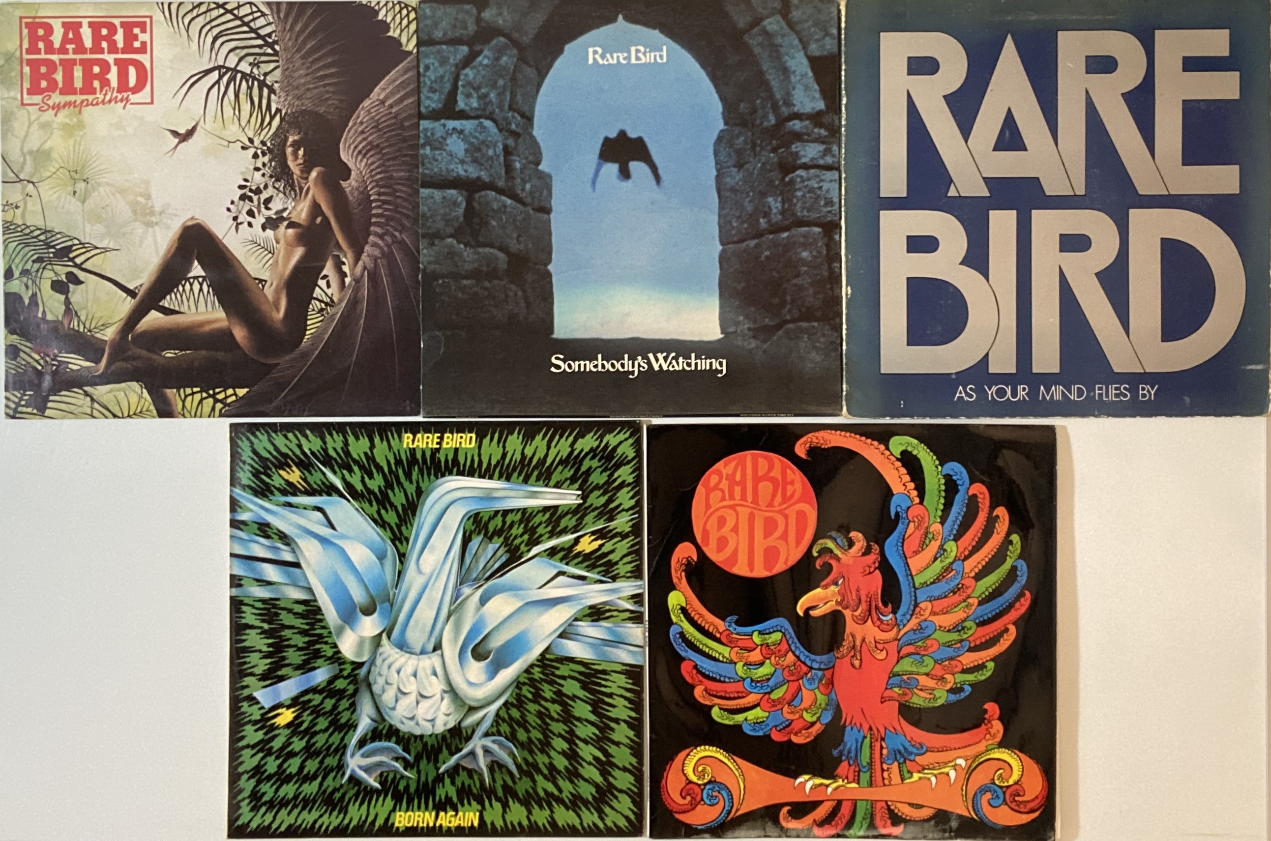 Lot 45 - RARE BIRD - LPs