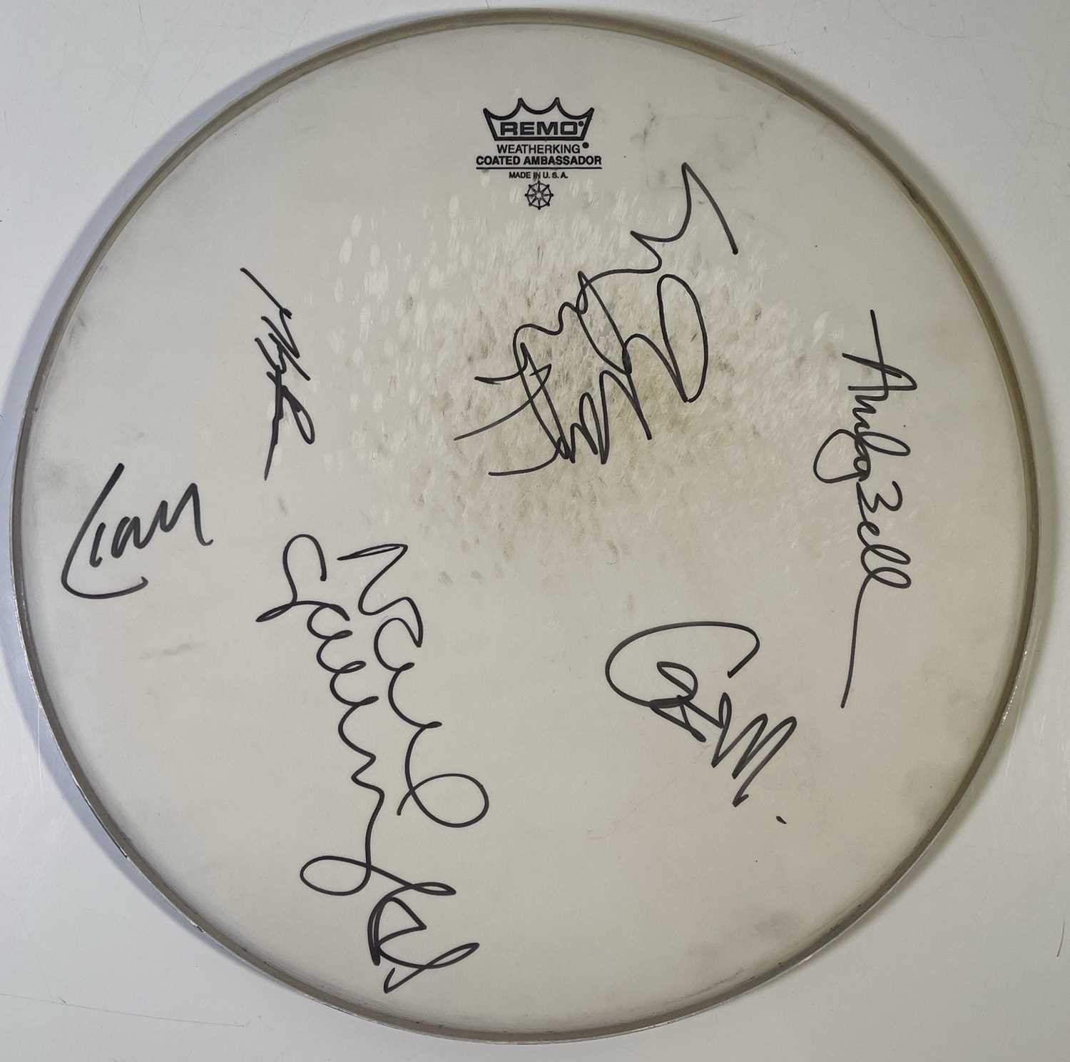Lot 518 - OASIS - A FULLY SIGNED DRUM SKIN.
