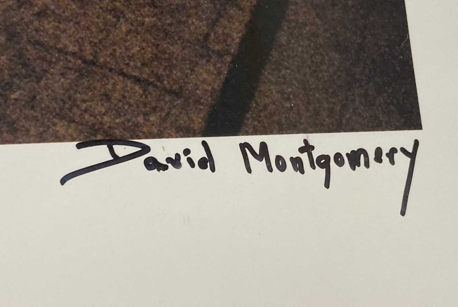 Lot 477 - THE ROLLING STONES - DAVID MONTGOMERY SIGNED