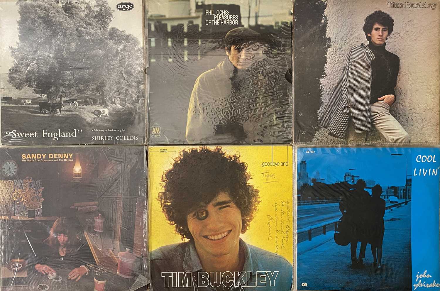 Lot 950 - FOLK/ FOLK ROCK - LP PACK (INC RARITIES)