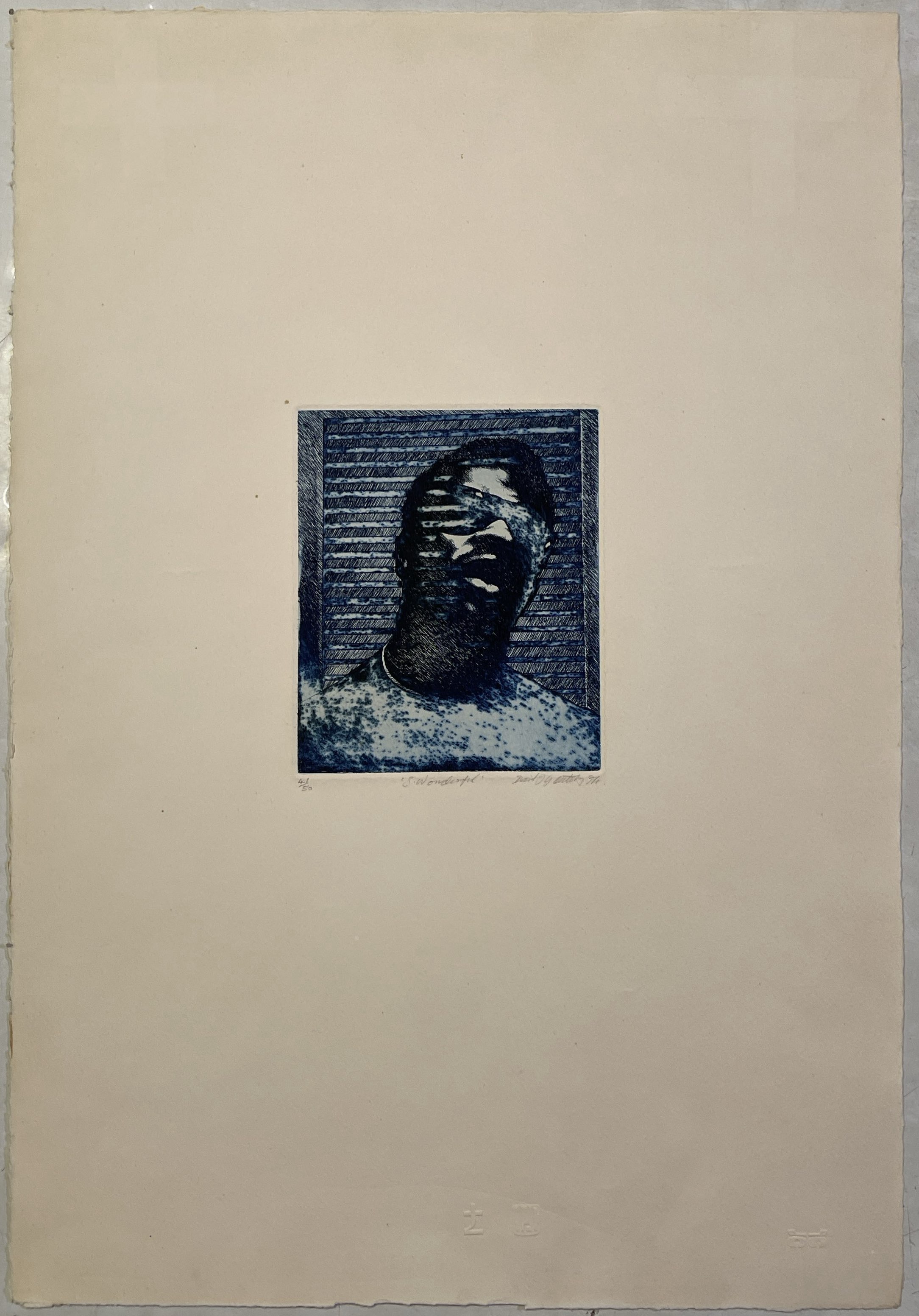 Lot 245 - DAVID OXTOBY - STEVIE WONDER - LIMITED