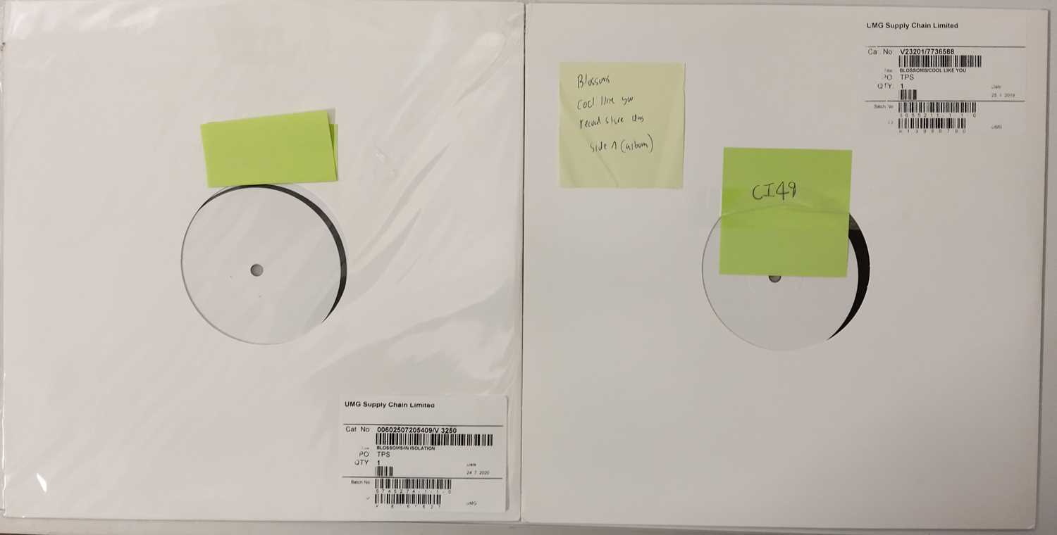 Lot 116 - BLOSSOMS WHITE LABEL TEST PRESSING LP PACK