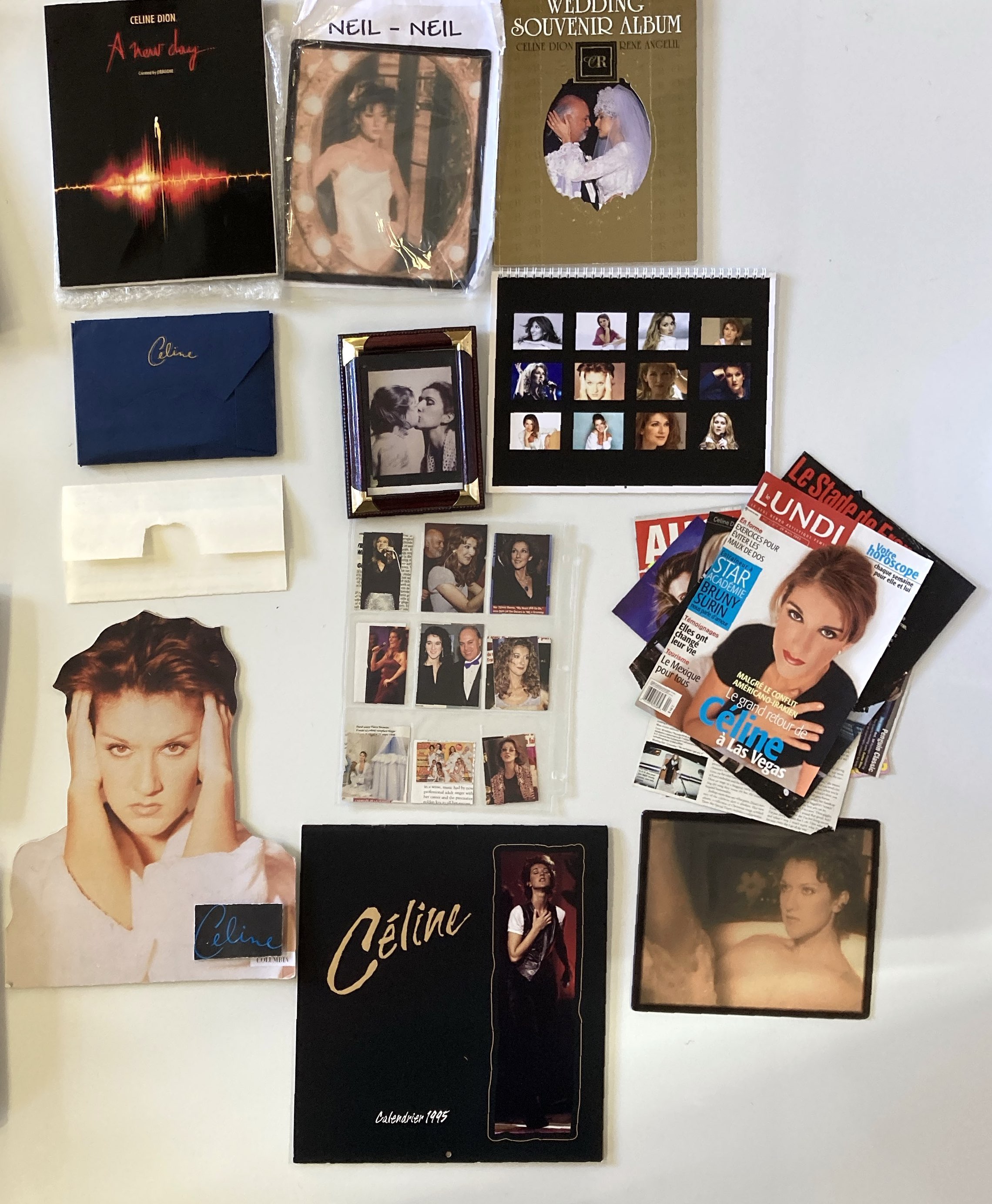 Lot 31 - CELINE DION COLLECTION.