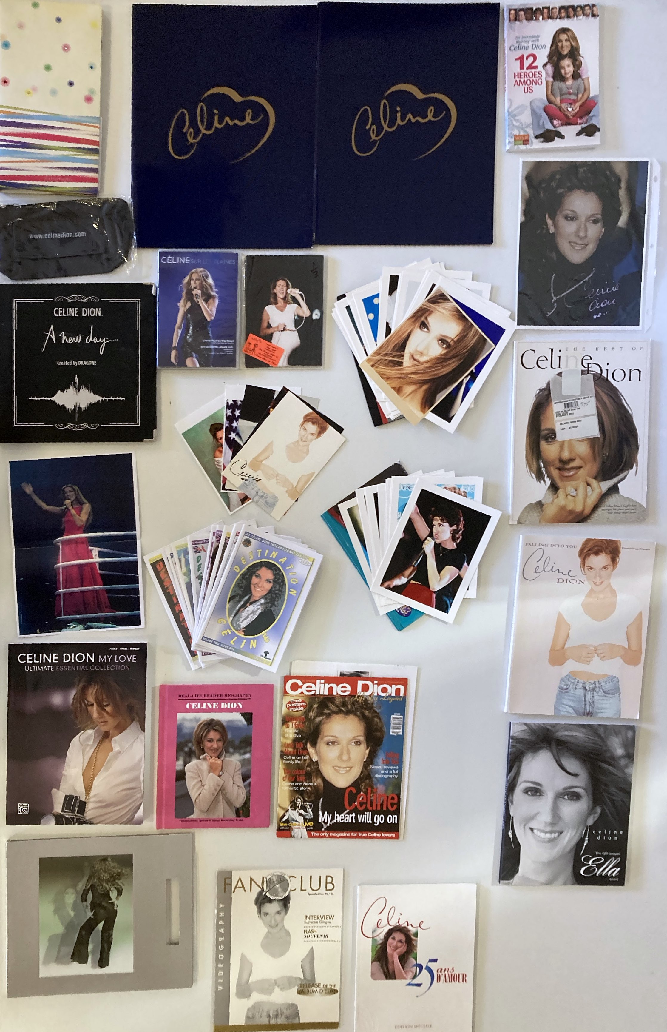 Lot 31 - CELINE DION COLLECTION.